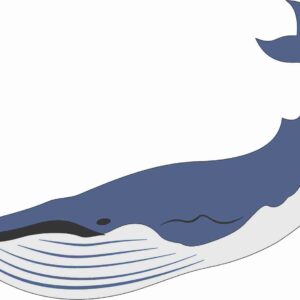 Petticoat Parlor Blue Whale - Scrapbook Super Station