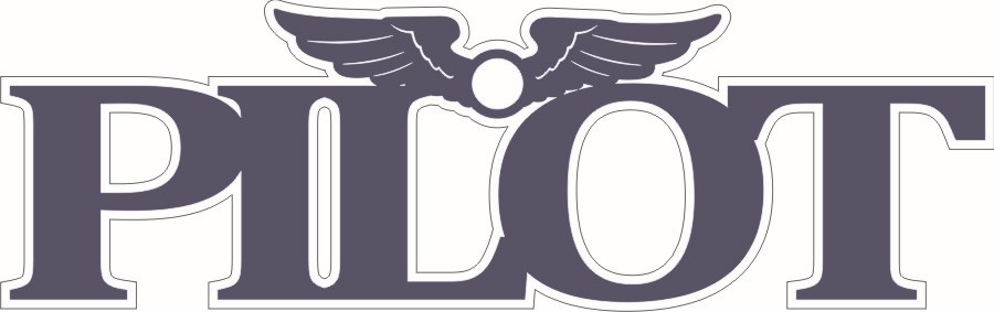 Petticoat Parlor Pilot With Wings - Scrapbook Super Station